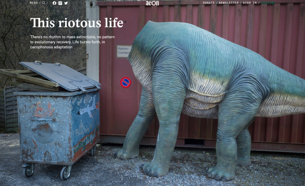 Aeon – This riotous life | Didier Ruef Workshops